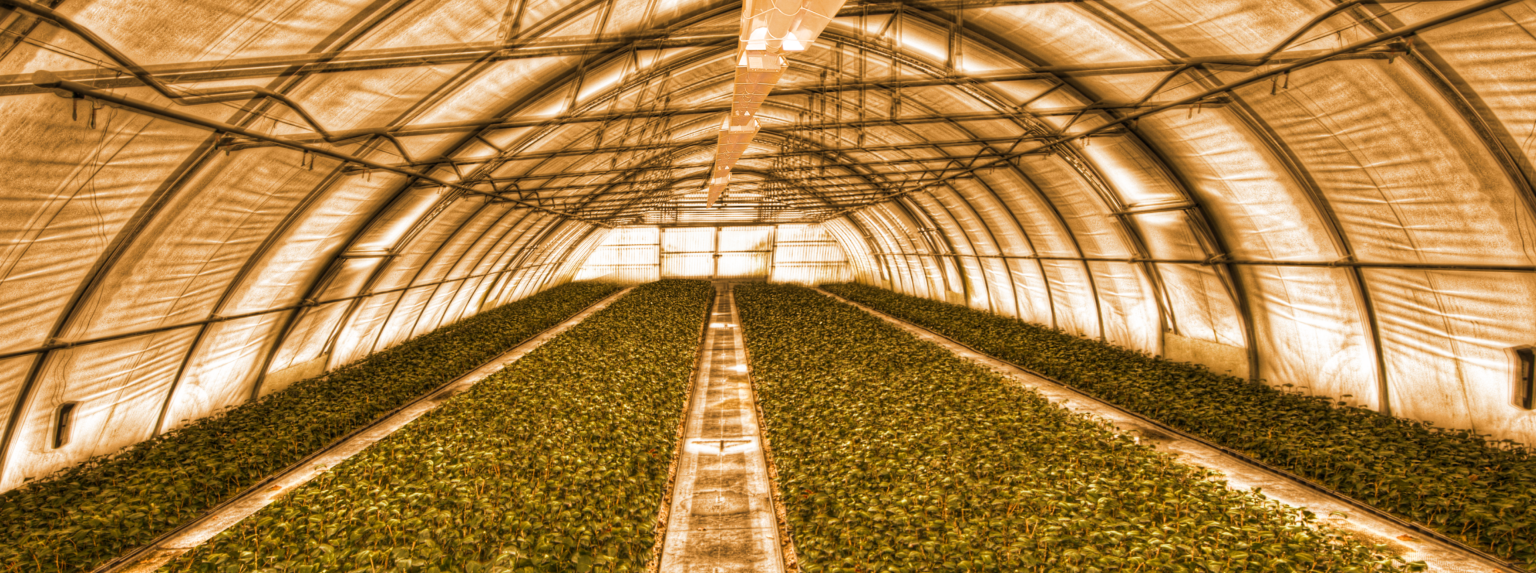 Greenhouses | Superior Radiant Products